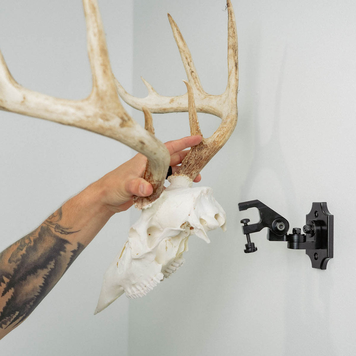 European Skull Mount Clamp - The Easy, Versatile, and Secure Skull ...